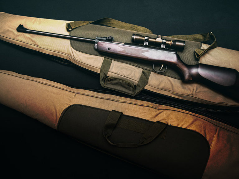 Sacramento Firearms and Accessories | The Guns Store | Home